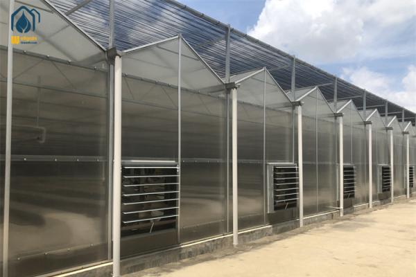 Quality Custom Polycarbonate Greenhouse Heavy Duty Organic Gardening Greenhouse Commercial for sale