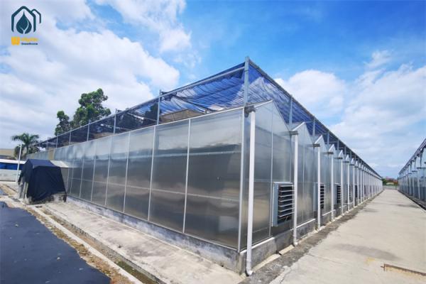 Quality Corrosion Resistant Polycarbonate Greenhouse Strong Steel Framed Greenhouse for sale