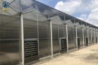 Quality Commercial Polycarbonate Greenhouse Durable Metal Framed Greenhouse For Organic for sale