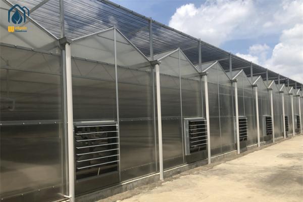 Quality Commercial Polycarbonate Greenhouse Durable Metal Framed Greenhouse For Organic Vegetable Farming for sale