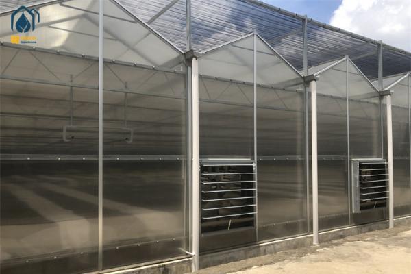 Quality Organic Herb Greenhouses Customized Polycarbonate Polyhouse With Automated for sale