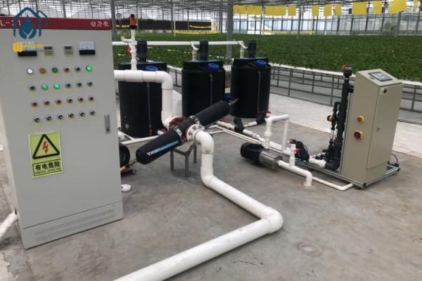 Quality Organic Herb Greenhouses Customized Polycarbonate Polyhouse With Automated for sale