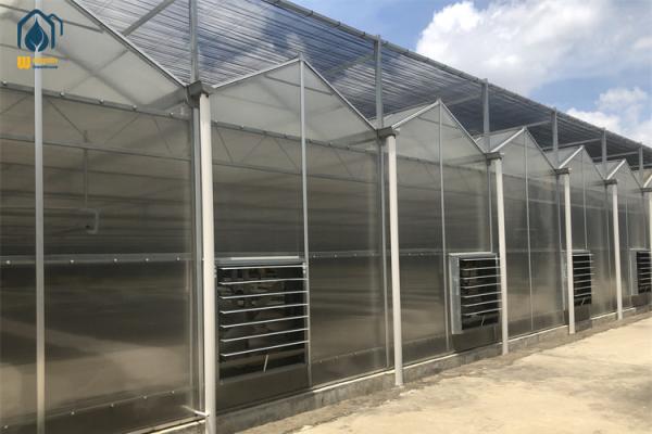 Quality High Insulating Polycarbonate Green Houses Crop Farming Greenhouses UV Resistant for sale
