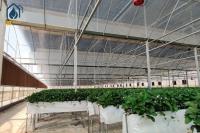 China Hydroponic PVC Growing Trough Large Strawberry Gutter System for sale