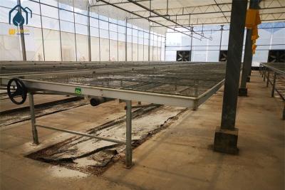 China Movable Greenhouse Rolling Benches Galvanized Mesh Plant Nursery Tables Customized for sale