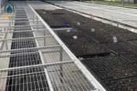 China Lightweight Greenhouse Rolling Benches Galvanized Mesh Rolling Bench Tables Stackable for sale