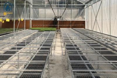 China Lightweight Greenhouse Rolling Benches Galvanized Mesh Rolling Bench Tables Stackable for sale