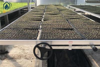China Lightweight Greenhouse Rolling Benches Galvanized Mesh Rolling Bench Tables Stackable for sale