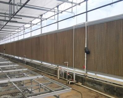 Greenhouse cooling pad system