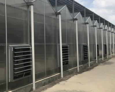 Greenhouse exhaust fan system
