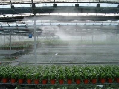 Greenhouse fogging system