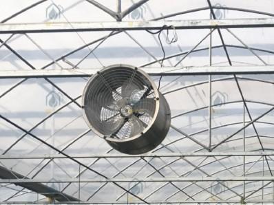 Greenhouse circulation fan