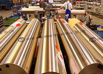 China Water Polishing Magnesium Billet We43 Casting Billet , Length 6000mm for sale