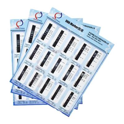 Cina Calendario magnetico da frigorifero scrivibile Souvenir flessibile con design conciso in vendita
