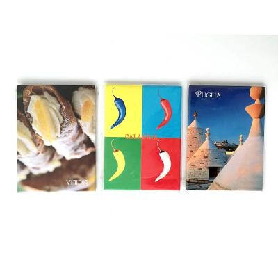 Cina Calamite pubblicitarie personalizzate stampabili offset souvenir magnetici con foto in latta in vendita