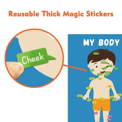 Cina Lavagna per poster cancellabile a secco personalizzata per l'apprendimento del corpo rimovibile 48x36