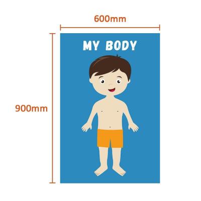 Cina Lavagna per poster cancellabile a secco personalizzata per l'apprendimento del corpo rimovibile 48x36