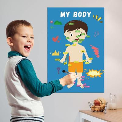 Cina Lavagna per poster cancellabile a secco personalizzata per l'apprendimento del corpo rimovibile 48x36