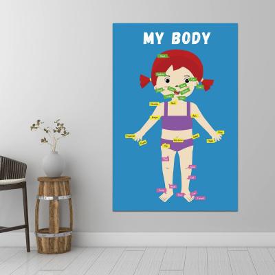 Cina Lavagna per poster cancellabile a secco personalizzata per l'apprendimento del corpo rimovibile 48x36