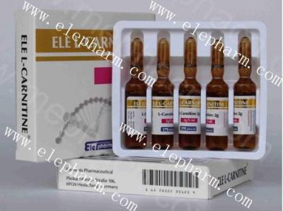 China Hot sale high quality ELE-l-Carnitine injection 2g/5ml for weight lossing with competitive price for sale