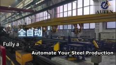 fully automatic angle production line