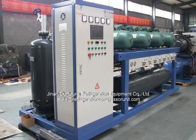 Cina Prodotto chimico che raffredda l'unità 16HP del compressore della cella frigorifera - il CE 180HP ha approvato in vendita