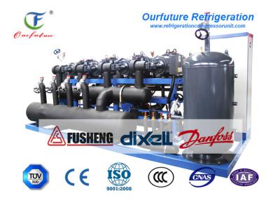 Cina Frutta che preraffredda iso a vite dell'unità del compressore della cella frigorifera di R404a in vendita