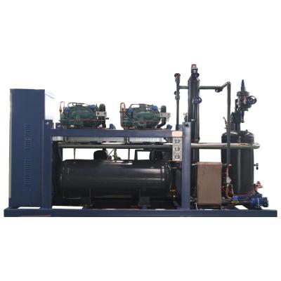 Cina Rack multicompressore ad alta efficienza e risparmio energetico per lo stoccaggio a freddo migliorato con programmazione personalizzata in vendita