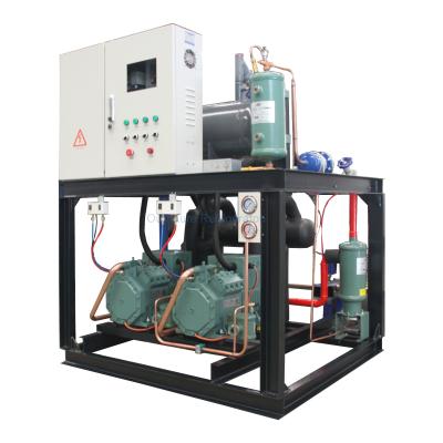 China Schroeftype - Parallelle verbinding in één fase Geoptimaliseerde koeloplossing met koelcompressor Te koop