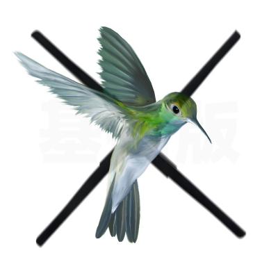 Cina 65cm Fan olografici ad alta tecnologia OEM Display olografico 3D LED Proiettore olografico in vendita