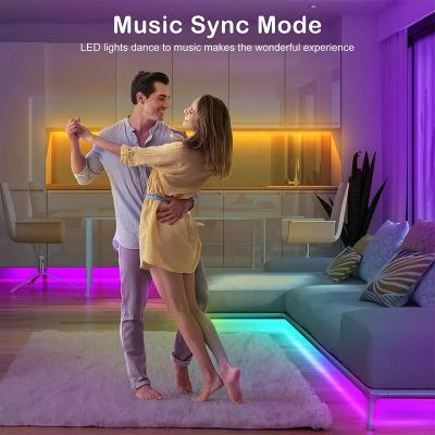 Cina 5M 10M 15M 20M 30M LED Strip Light con colori RGB controllati da Alexa e Google Home in vendita