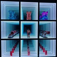 China High Brightness LED Light Source Customized Infinity Illusion Mirror Display Case for sale