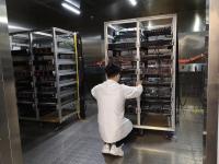 Quality Walk In Environmental Test Chambers For LP.7N029 Door Trim Panel Assembly Heat Age Exposure Test for sale