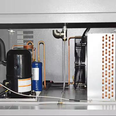 China Constant Climatic Test Chamber For Automotive Electronic Control Unit And Headlight Covers for sale