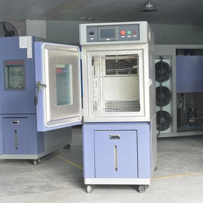 Cina Prodotti alimentari e imballaggi Camera a temperatura e umidità costanti in vendita