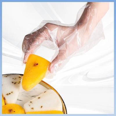 China As luvas descartáveis do serviço de alimentação versátil da cozinha do PE deslizam não à venda