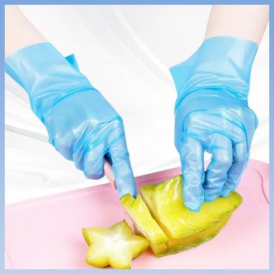 China De medische Hygiënische Beschikbare Handschoenen van Caterings Thermoplastische Handschoenen Te koop