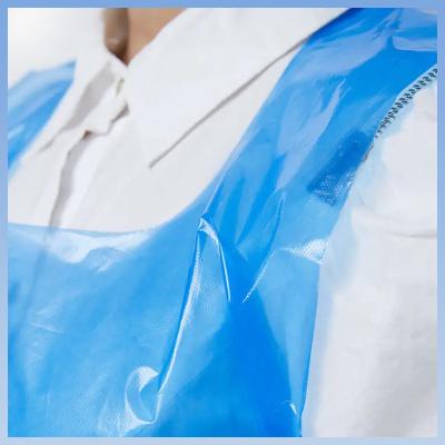 Cina Grembiule di plastica trasparente eliminabile blu della prova di olio del grembiule del PE in vendita