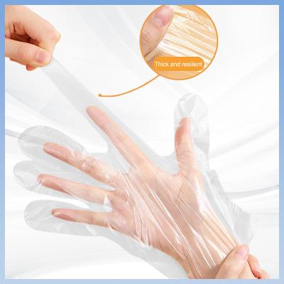 China Hohe Stabilität Transparente Einweg-PE-Handschuhe in der Cateringküche zu verkaufen
