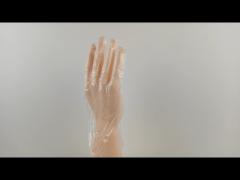 OEM Lightweight Durable Disposable Polyethylene Gloves Food Prep