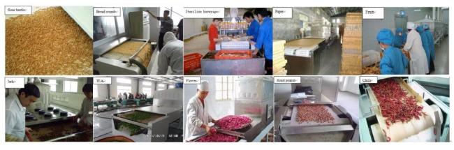 Continuous Microwave Sterilizer Dryer for Spices Seasoning