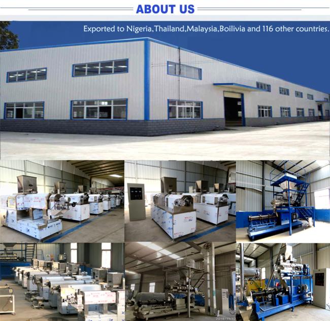 China Factory Animal Pet Dog Cat Floating Fish Feed Pellet Production Machine Snacks Food Processing Making Extrusion Line