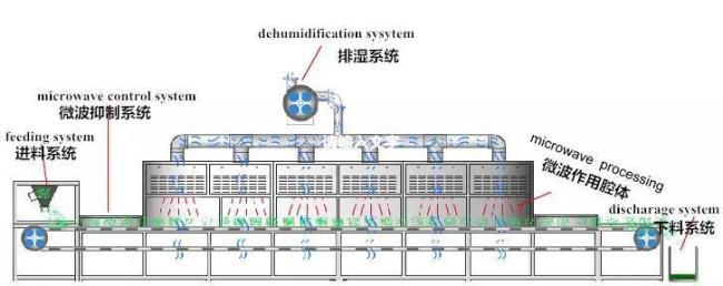 Tunnel Belt Microwave Hazelnuts Almonds Nuts Dryer Curing Machine