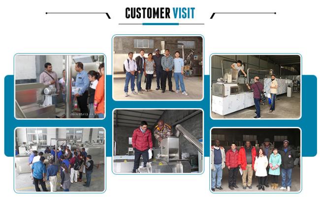 Big Capacity Corn Flakes Production Line/Breakfast Cereal Corn Flakes Extruder Machine