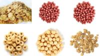 China Maize Flakes Sugar Frosted Corn Flakes Breakfast Cereal Processing Machine for sale