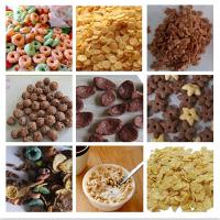 China Cereals Processing Line Project Equipment Automatic Corn Flakes /Breakfast Cereal Making Machine for sale