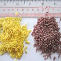China Artificial Rice Production Extruder Kernel Making Machine for sale