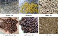 China Customized Fortified Rice Making Machine Artificial Rice Processing Line India Agent for sale
