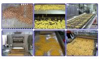China Corn Flake Production Corn Flakes Making Machine Corn Flex Production Line for sale