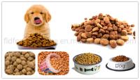 China Automatic Fish Feed Pellet Making Extruder Processing Machinery for Your Aquarium Needs for sale